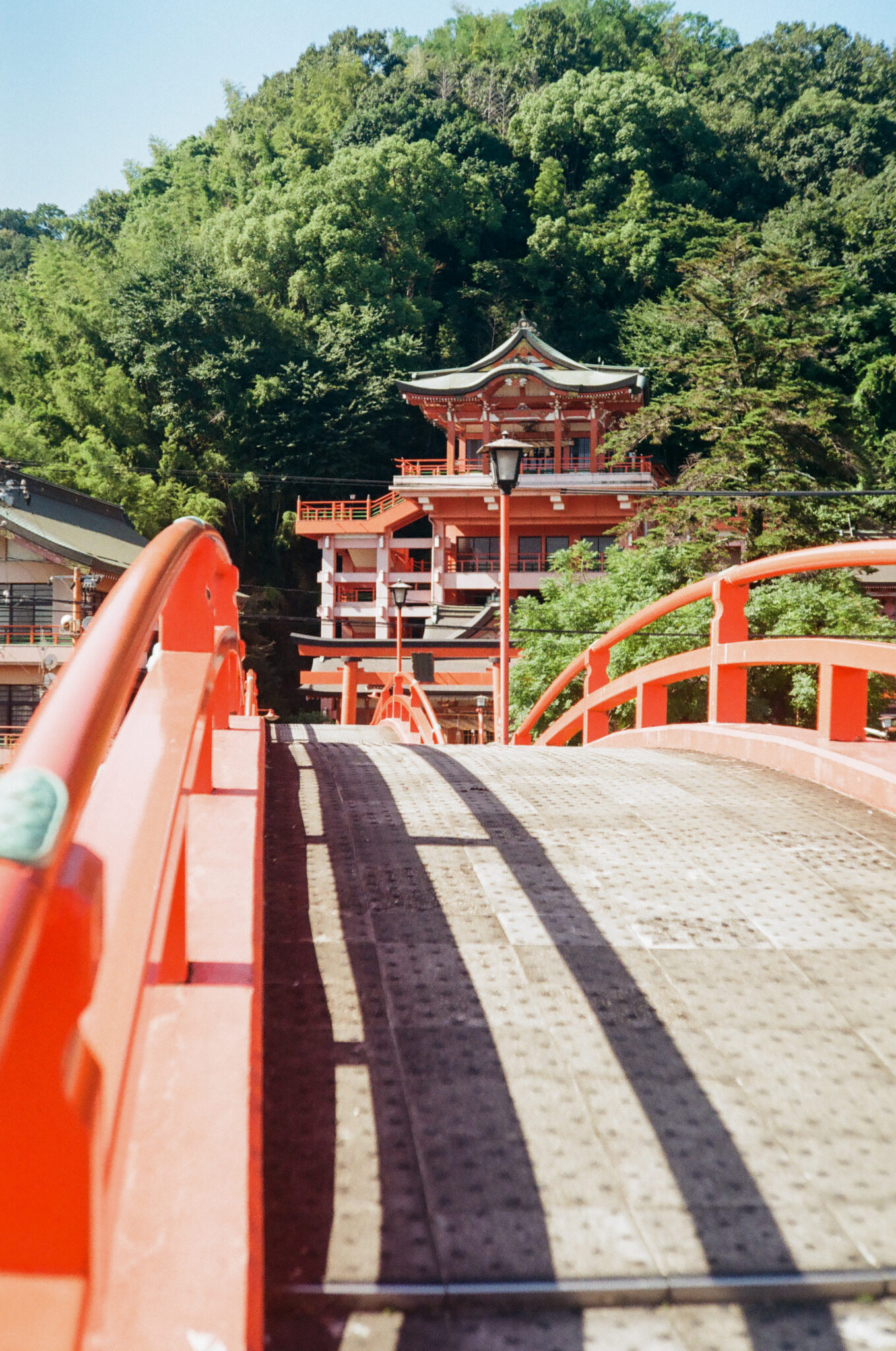 [FUJIFILM 200 Speed Film]少し暖かさがあるデーライトフィルム(作例あり) - Photo Life