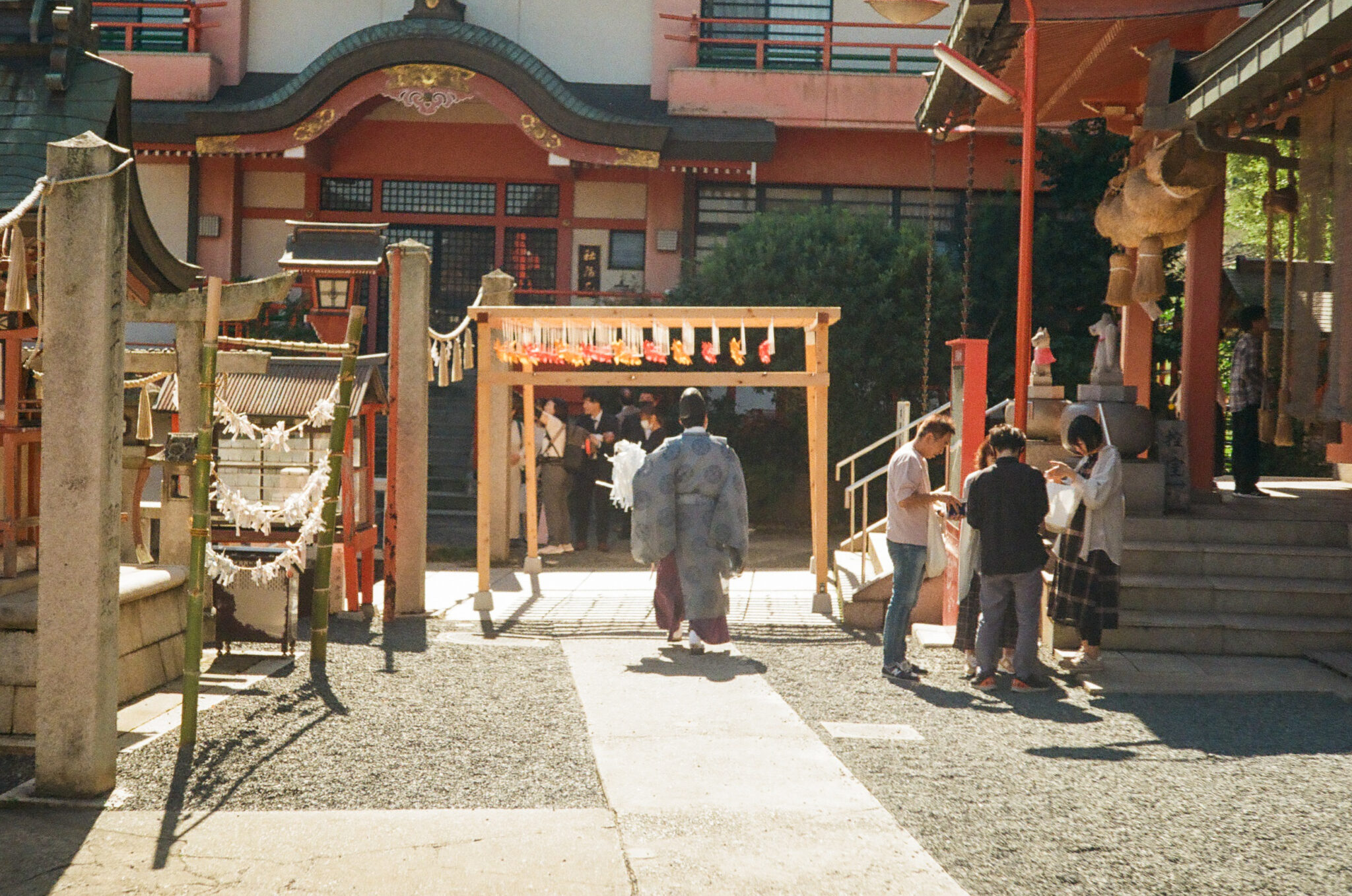 [FUJIFILM 200 Speed Film]少し暖かさがあるデーライトフィルム(作例あり) - Photo Life
