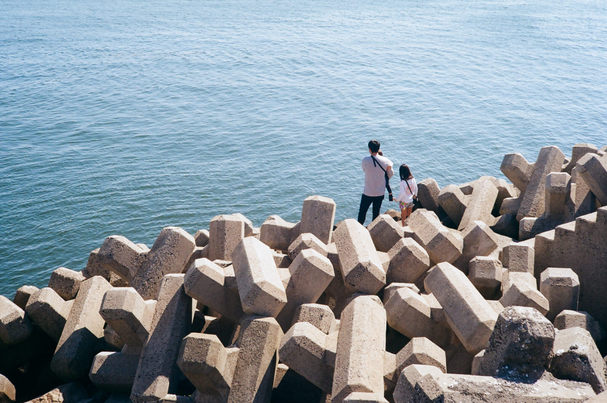 [FUJIFILM 200 Speed Film]少し暖かさがあるデーライトフィルム(作例あり) - Photo Life